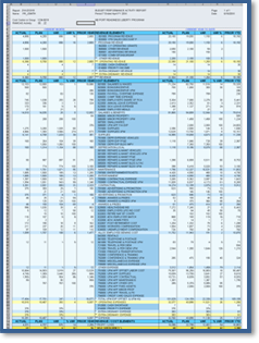 CNIC - FFR - NAF Budget Planning