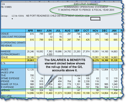 CNIC - FFR - NAF Budget Planning